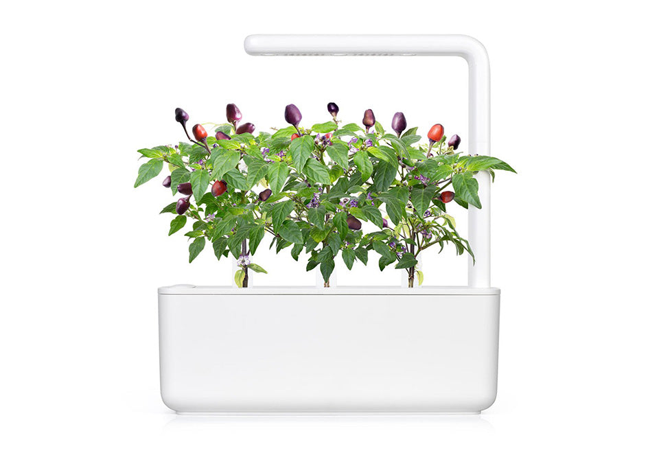 Extra Pods for the World's Smartest Indoor Garden (3-Pack) – Sharper Image