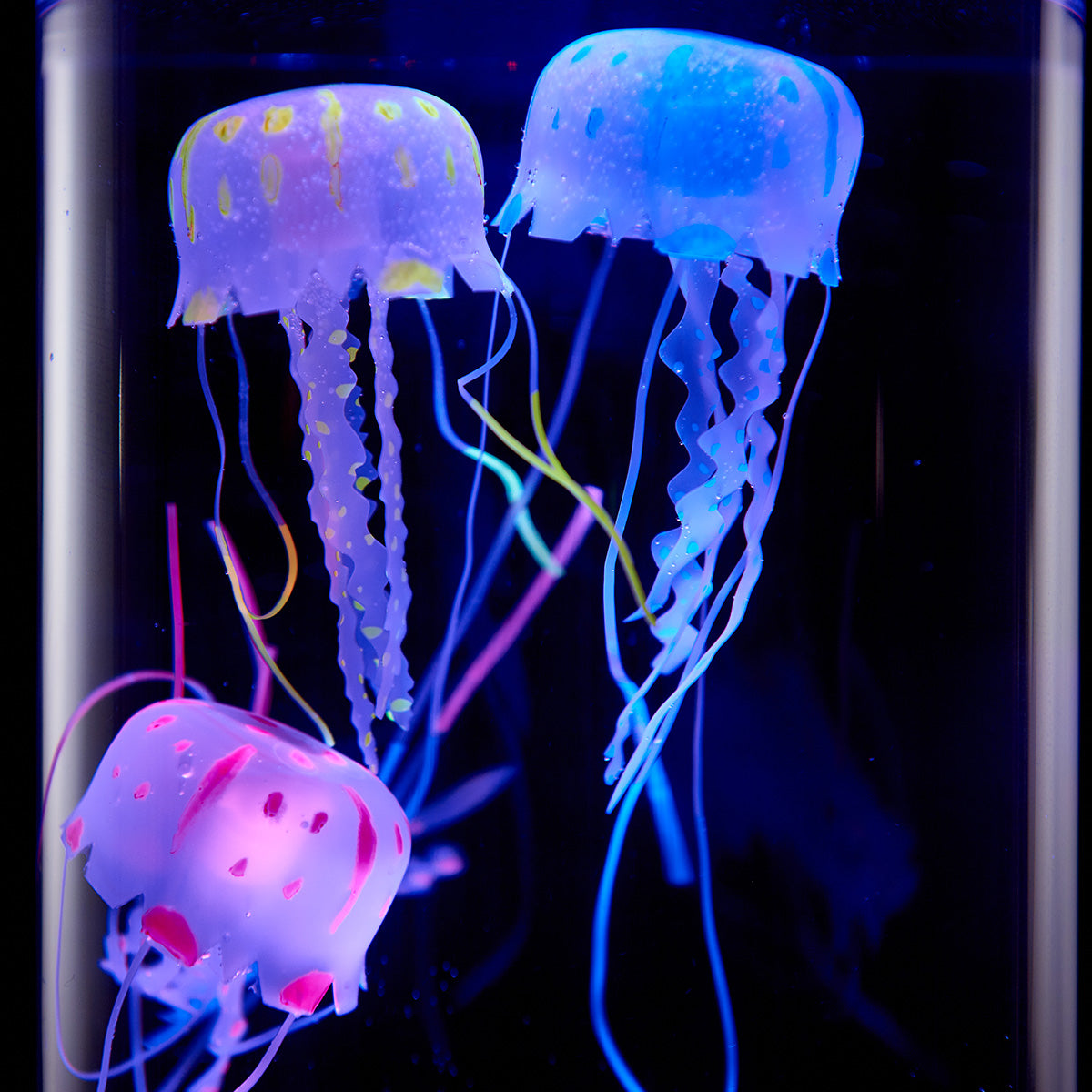 Jellyfish Aquarium | Jellyfish Fish Tank | Sharper Image