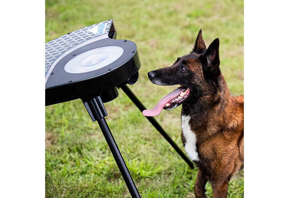Automatic Dog Disc Launcher – Sharper Image