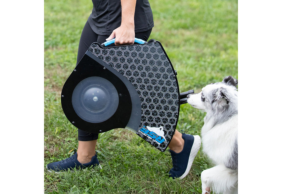 Automatic Dog Disc Launcher – Sharper Image