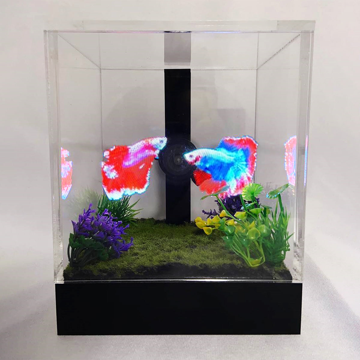 3D Holographic Aquarium – Sharper Image